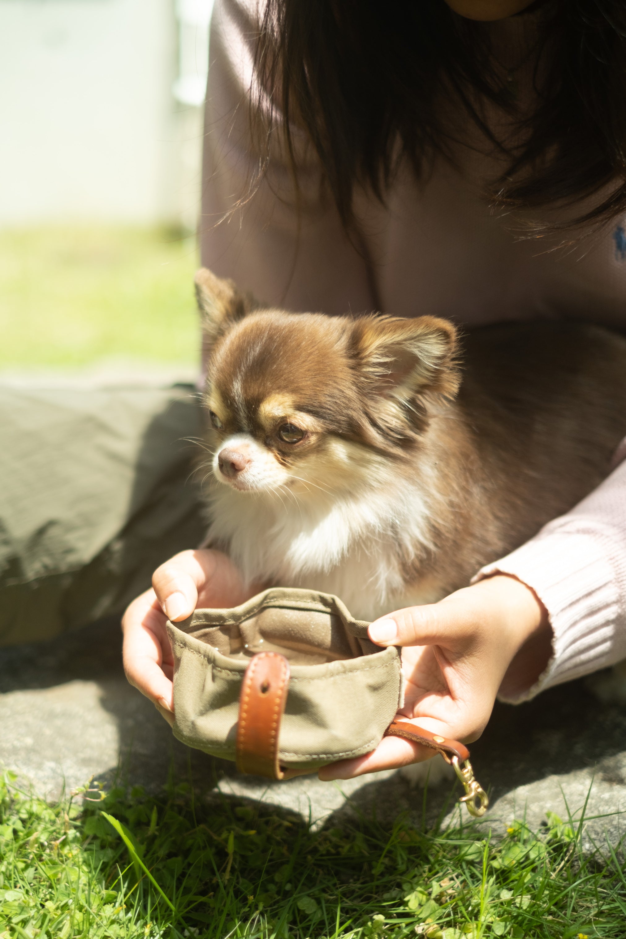 犬のライフスタイルブランド – mellowbear