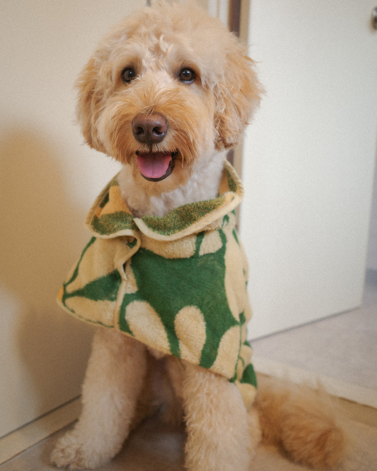 《オーガニックコットン》Dog Robe & Beach Towel - Flower - – mellowbear